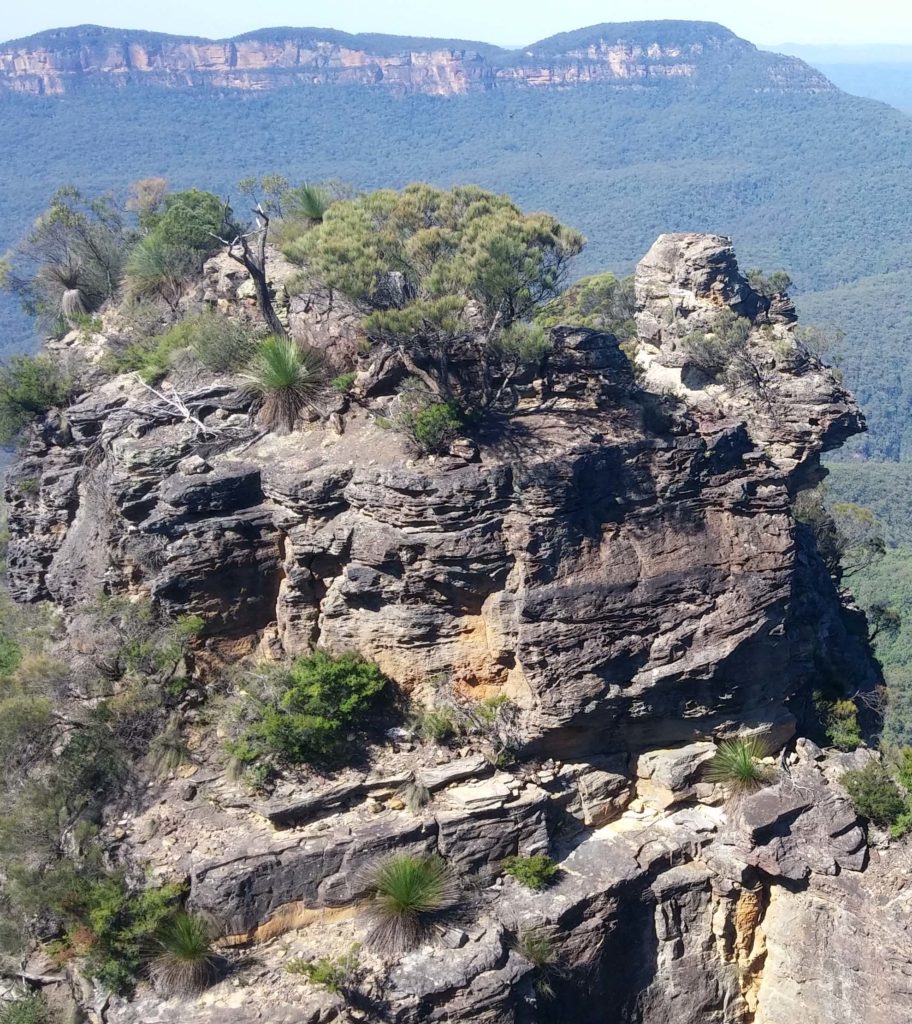 DataPerf Professionals – Helping Businesses Maximize the Value of their ...